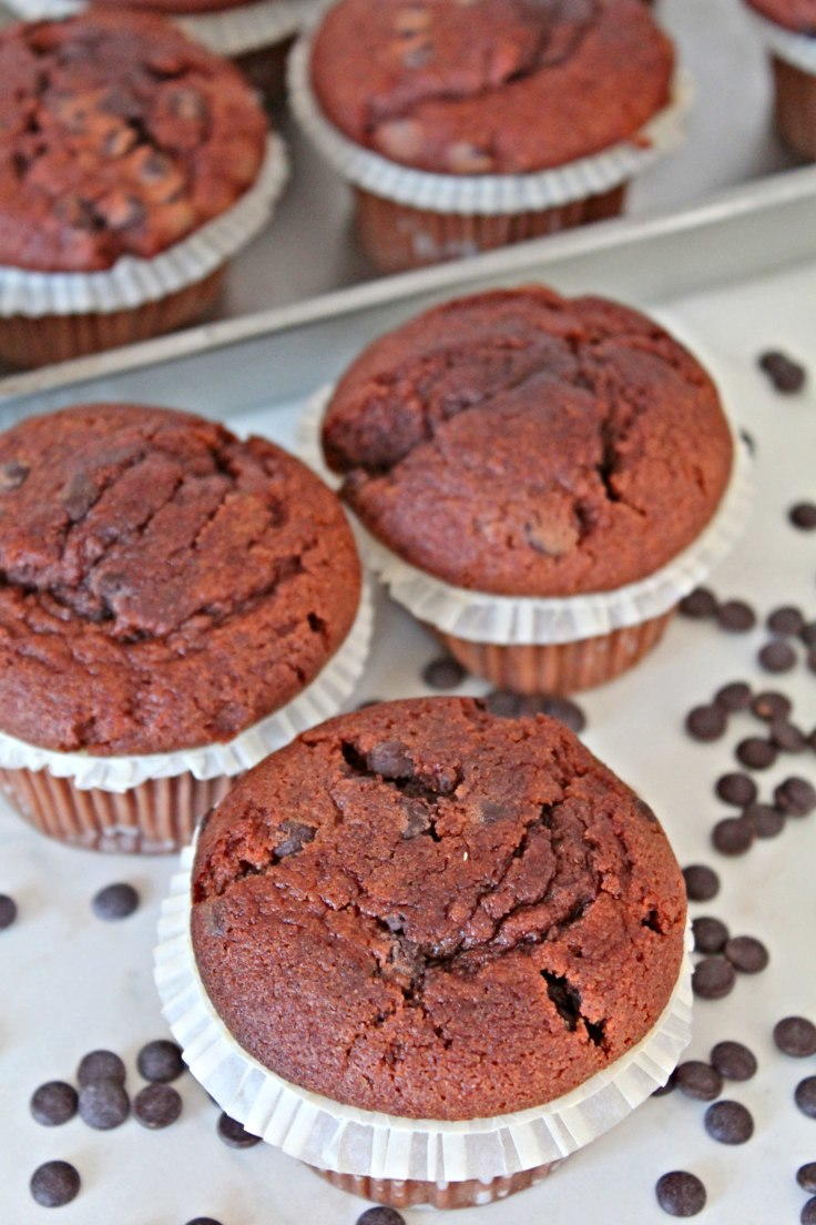 Chocolate Muffins Recipe | RecipeLion.com