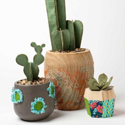 DIY Cactus Planters with Mod Podge Ultra | DIYIdeaCenter.com