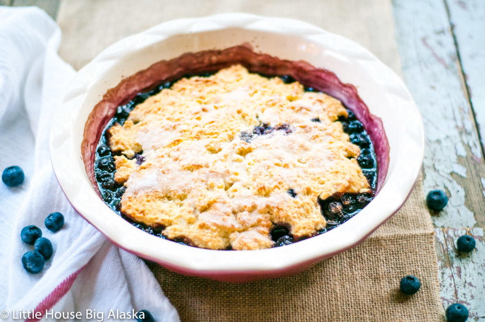Blueberry Grunt | TheBestDessertRecipes.com
