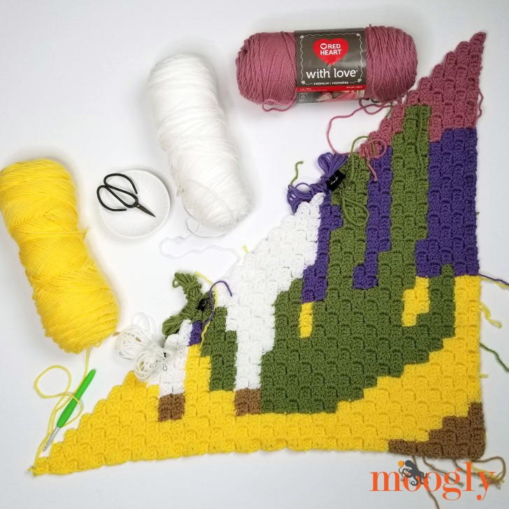 Llama and Cactus C2C Graphgan | FaveCrafts.com