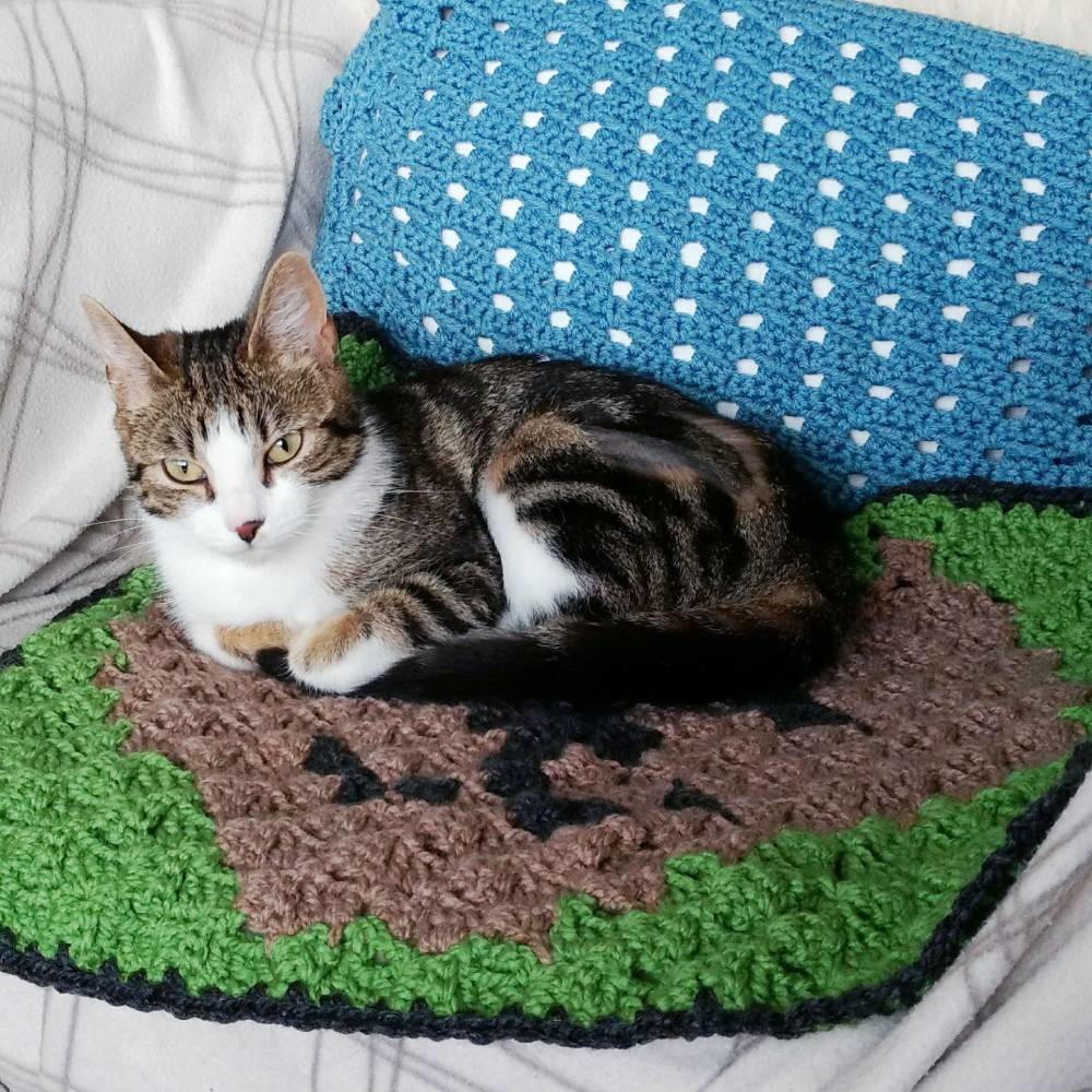 Corner to Corner Crochet Cat Blanket | FaveCrafts.com