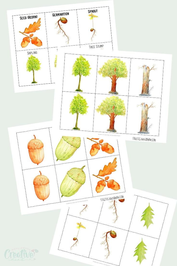 Oak Tree Printable | FaveCrafts.com