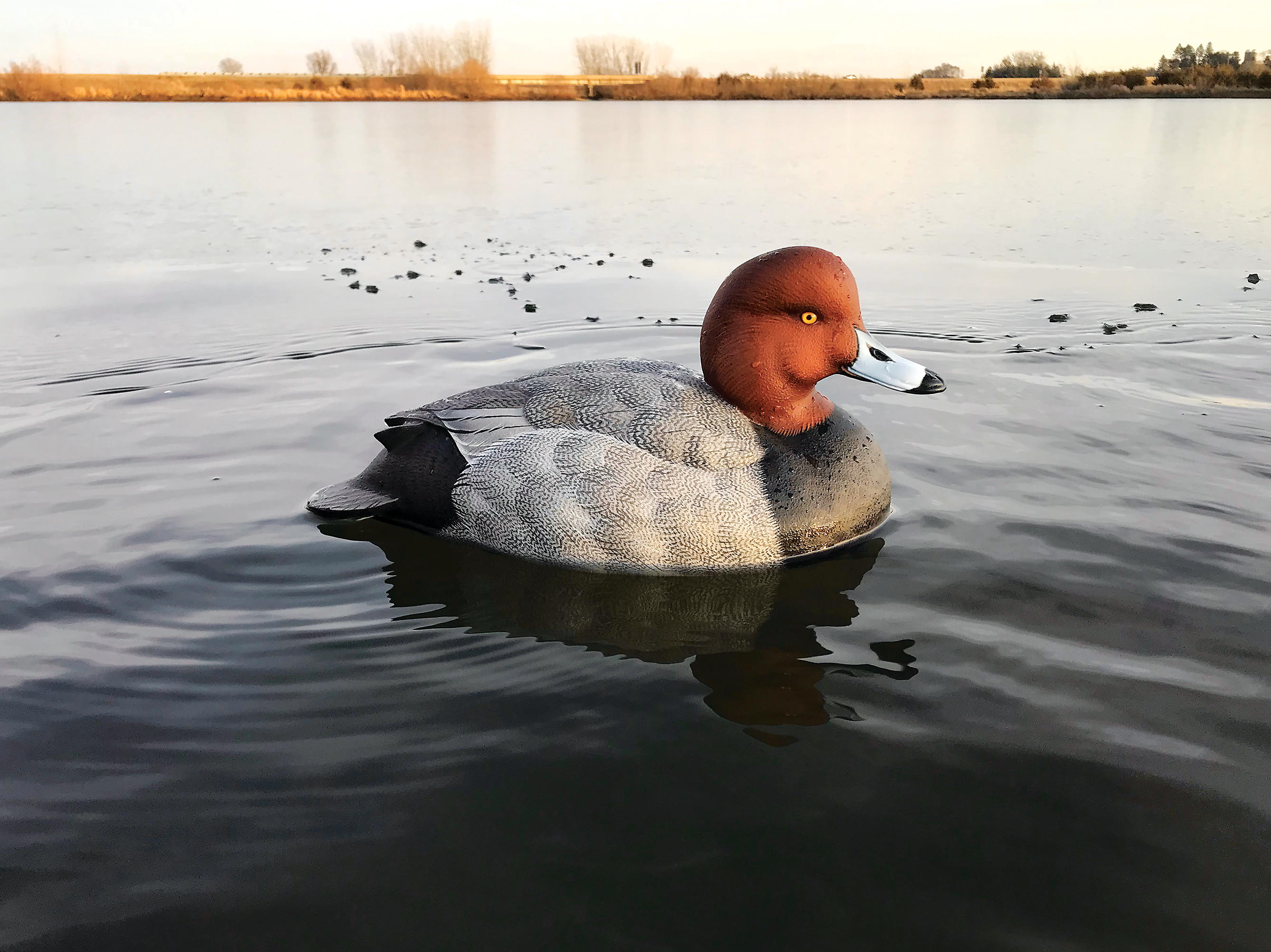 Seeing Red | wildfowl-carving.com