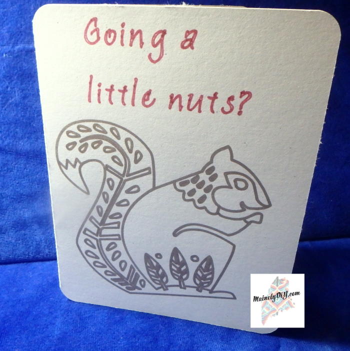 Going Nuts - Greeting Card With A Bonus | FaveCrafts.com
