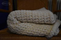 Two Tone Reversible Shells Afghan | AllFreeCrochet.com