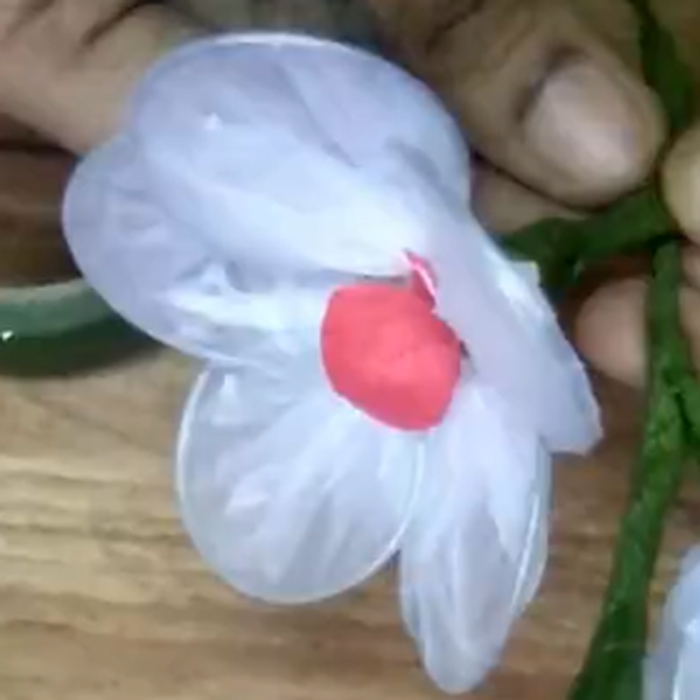 Artificial Flowers From Plastic Papers | AllFreeKidsCrafts.com