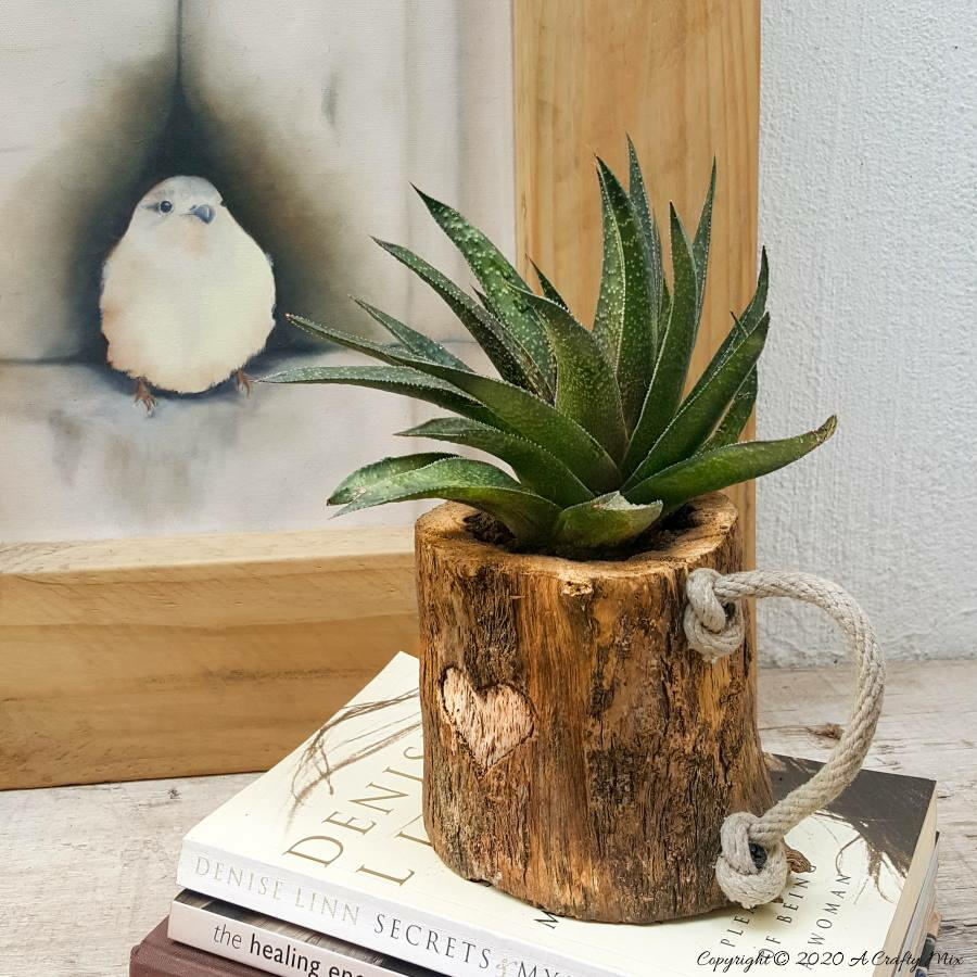 Rustic Branch Mug Planter | DIYIdeaCenter.com
