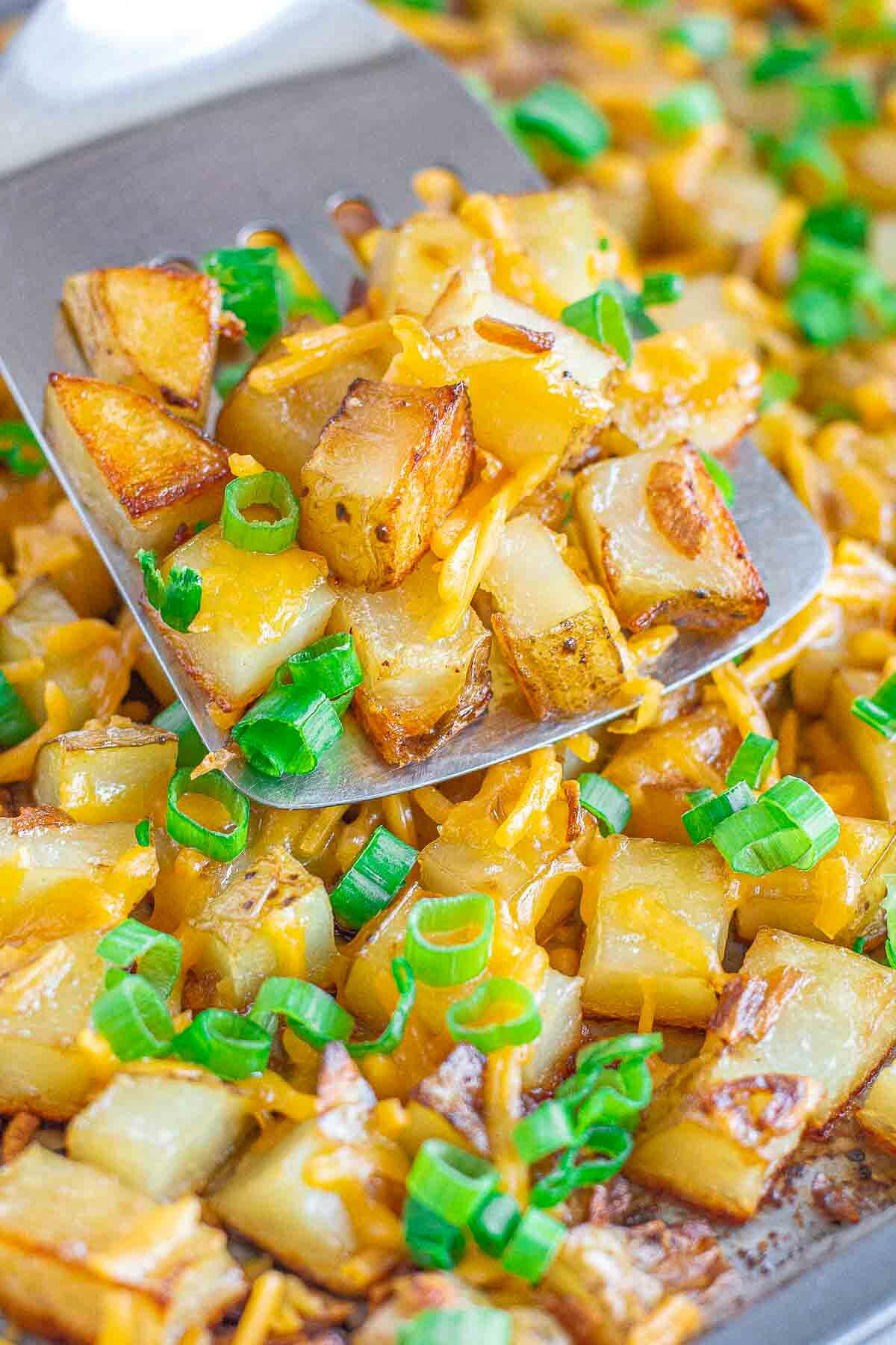 Cheddar Cheese Onion Potatoes RecipeLion cheddar-cheese-onion-potatoes-recipelion