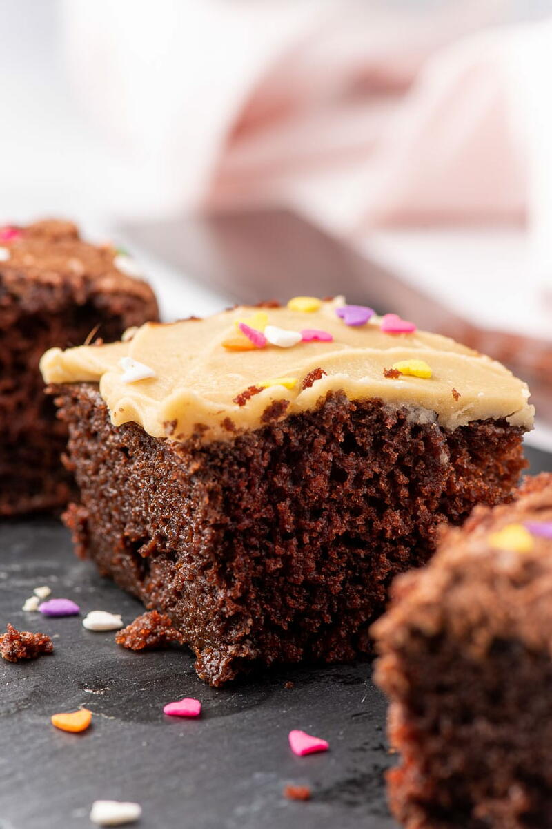 Old-Fashioned Crazy Cake | RecipeLion.com