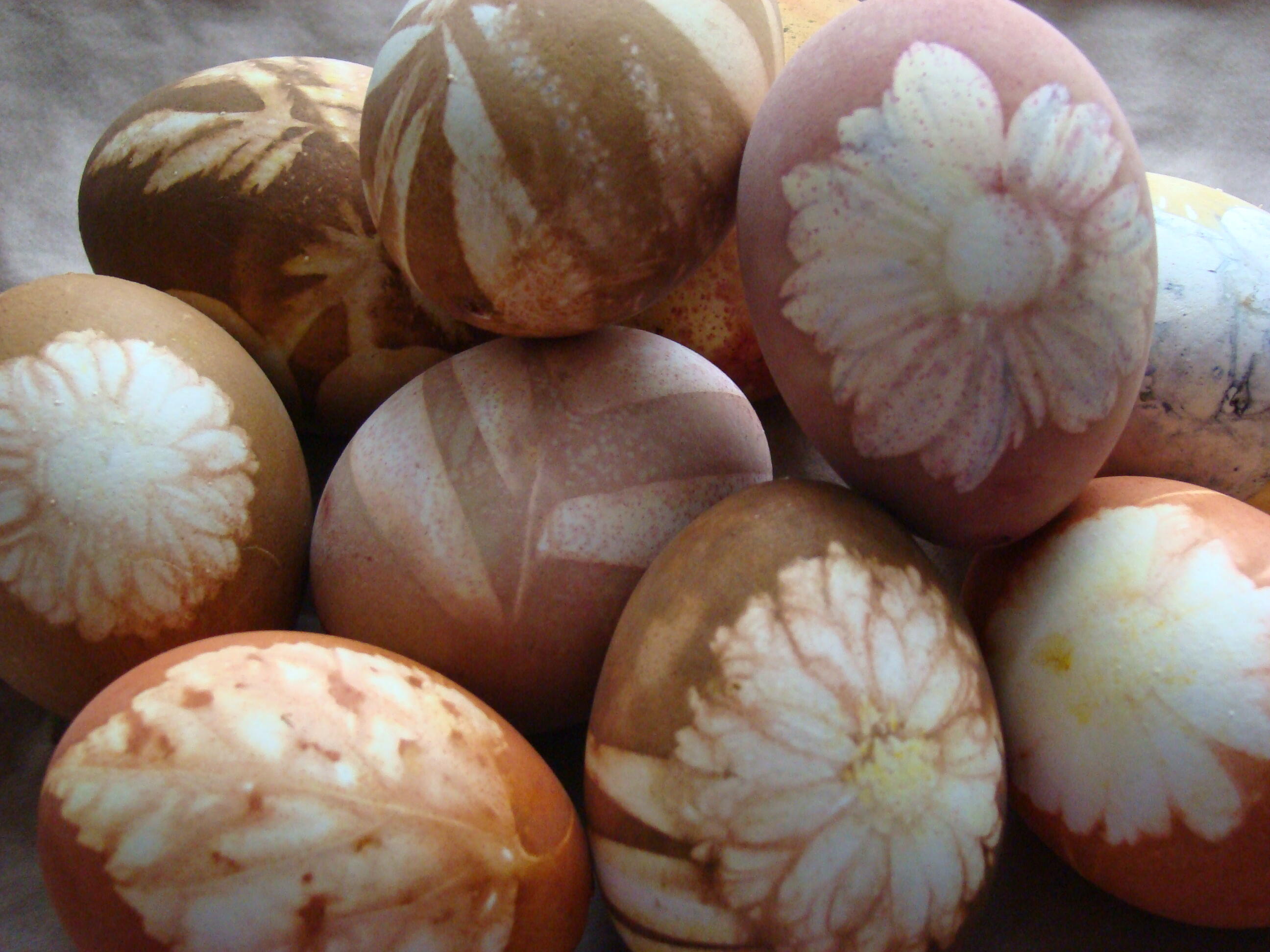 Natural Dye Easter Egg Tutorial | FaveCrafts.com