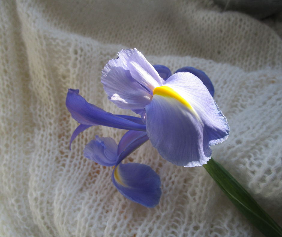 7 Free Knitting Charts: Flowers | AllFreeKnitting.com