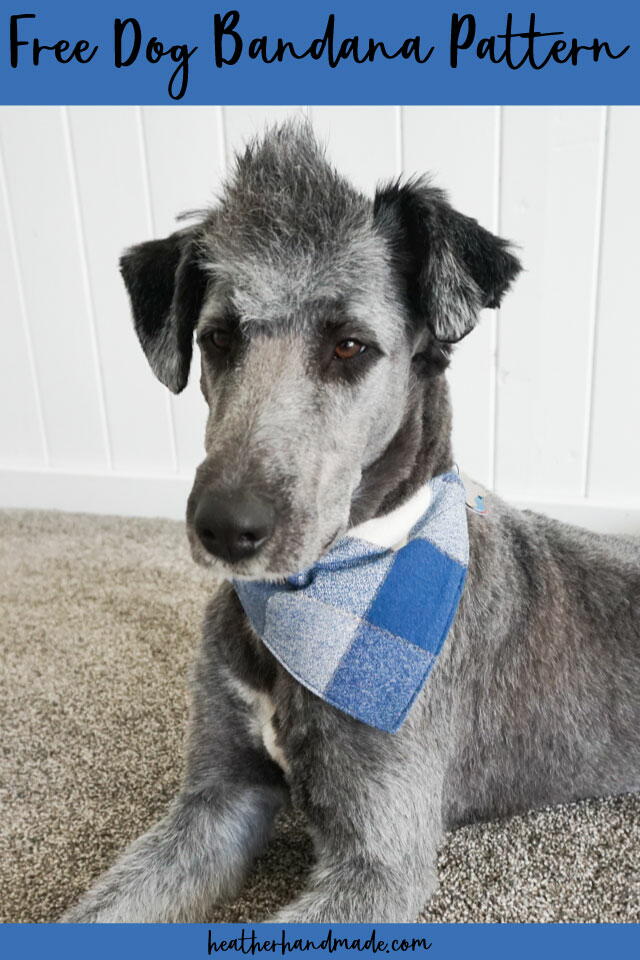 Free Dog Bandana Sewing Pattern | AllFreeSewing.com
