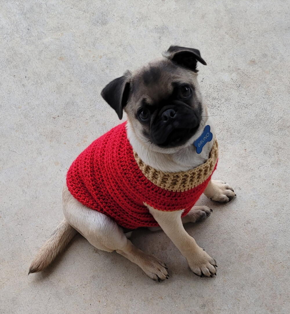 17+ Crochet Patterns for Pets | AllFreeCrochet.com