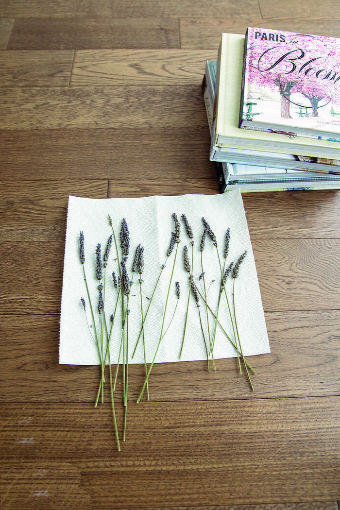 Pressed Lavender in Frame | FaveCrafts.com