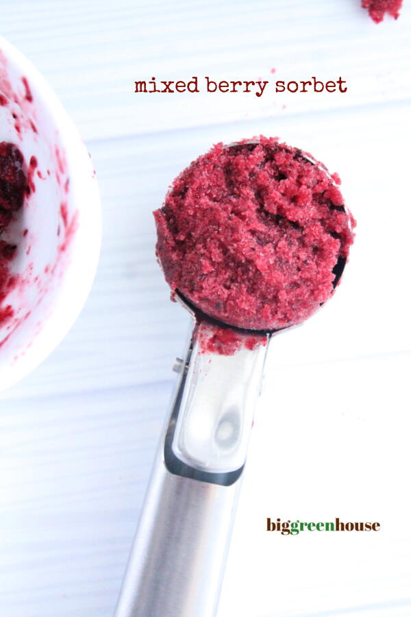 Mixed Berry Sorbet | RecipeLion.com