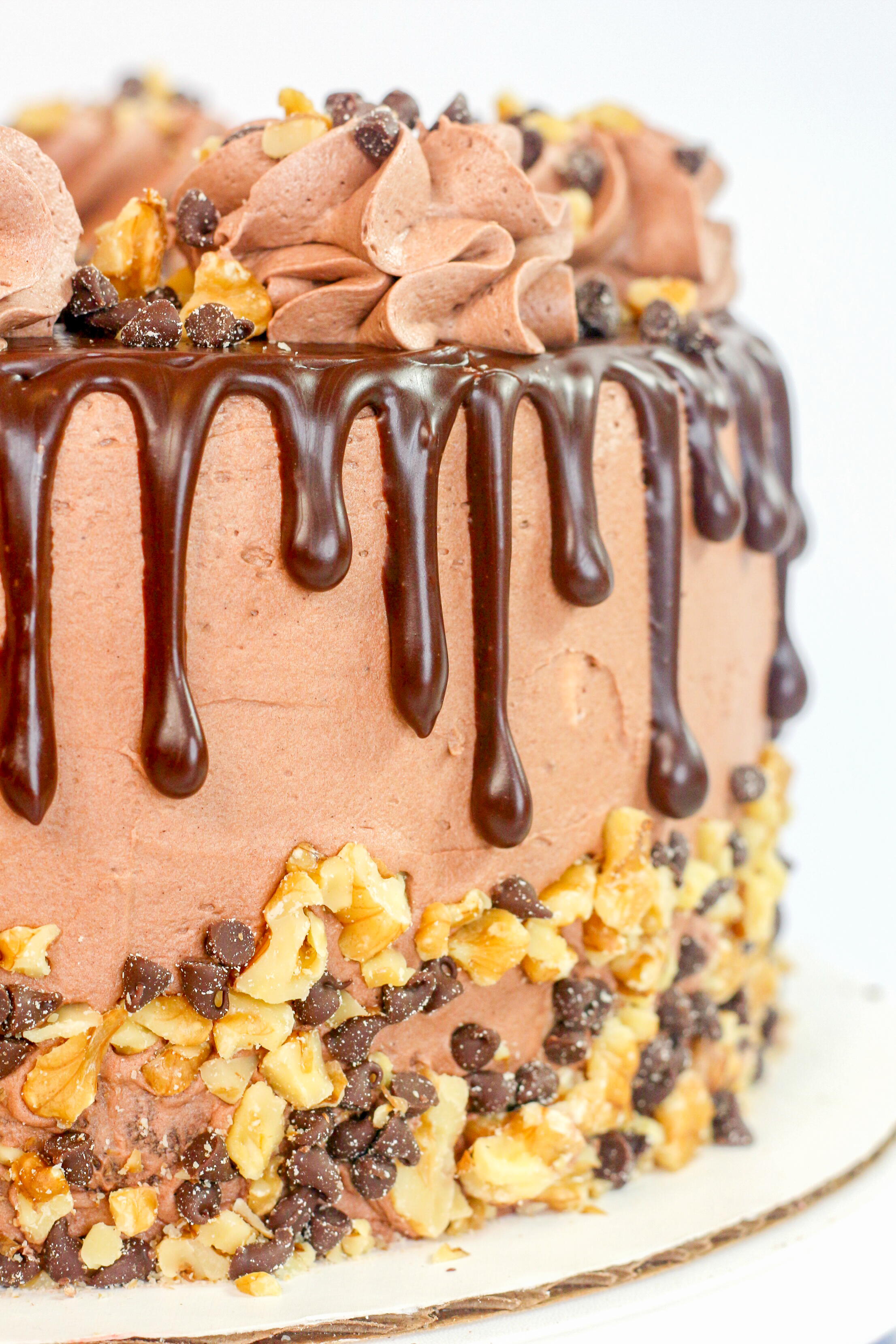 Chocolate Walnut Cake | TheBestDessertRecipes.com