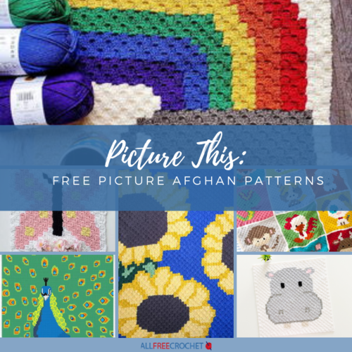 Picture This: 16 Free Picture Afghan Patterns | AllFreeCrochet.com