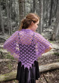 Small Fans Shawl | AllFreeCrochet.com