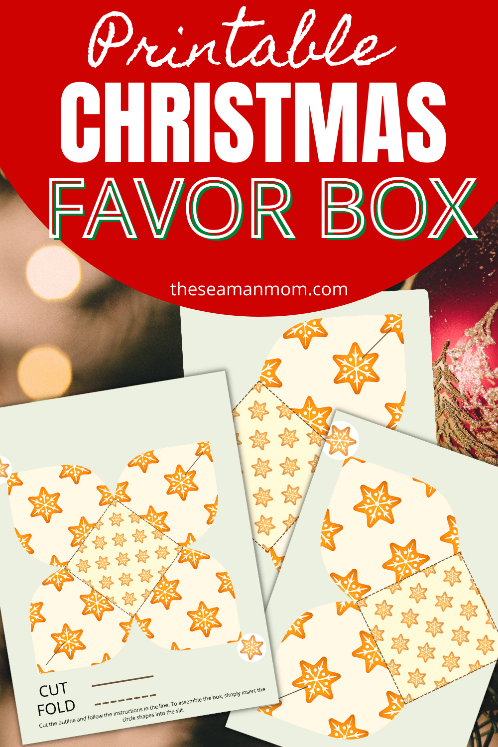 Printable Box Template For Christmas | AllFreePaperCrafts.com
