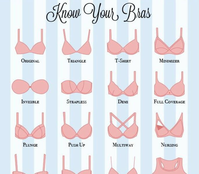 Know Your Bras Guide [Infographic] | AllFreeSewing.com