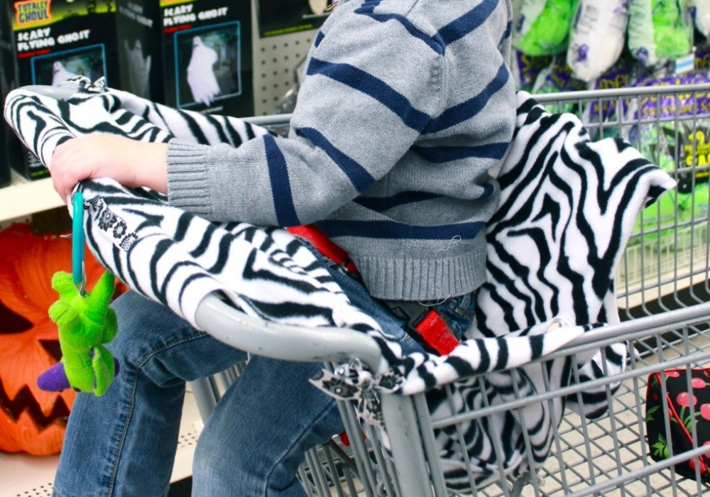 Shopping Cart Cover Sewing Pattern & Video (Free!) | AllFreeSewing.com