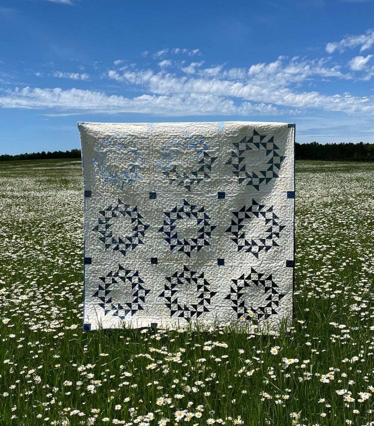 Sweet Emily Quilt | AllFreeSewing.com