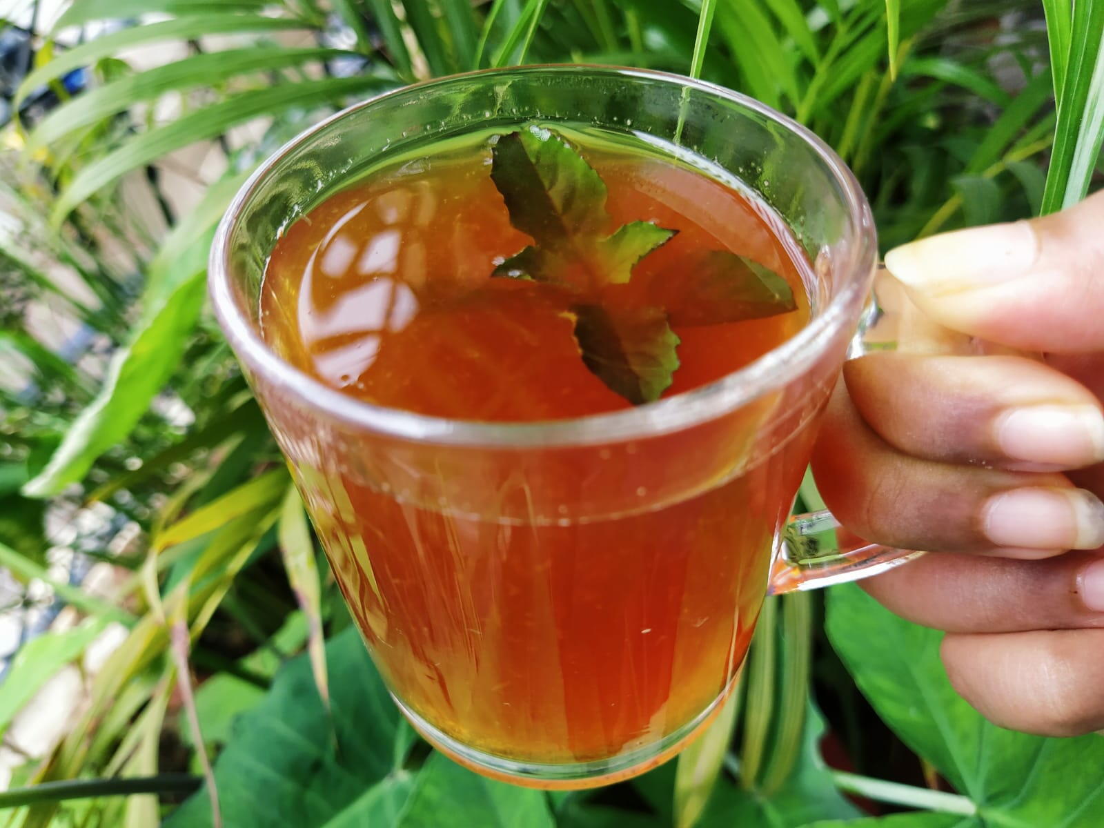 Honey Lemon Tea Recipe | Simple Mug Beverage | RecipeLion.com