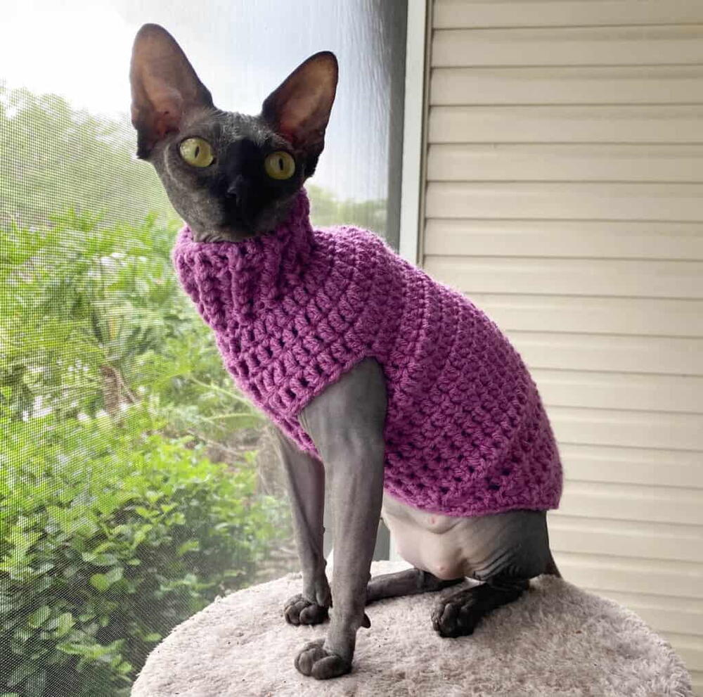 17+ Crochet Patterns for Pets | AllFreeCrochet.com