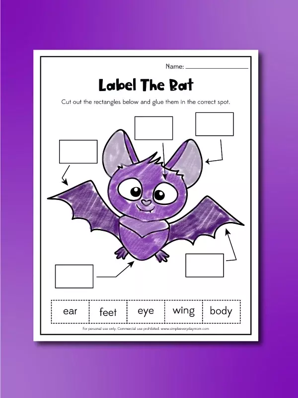 Bat Worksheet For Kids | AllFreeKidsCrafts.com