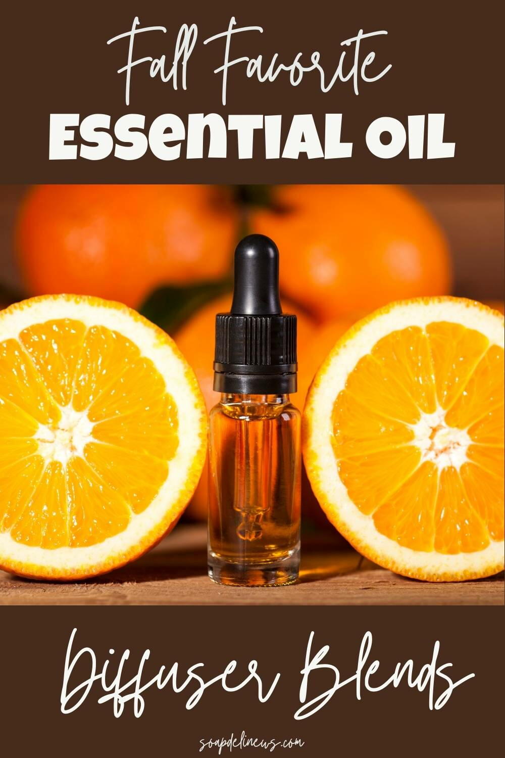 Recipes For Fall Essential Oil Diffuser Blends | DIYIdeaCenter.com