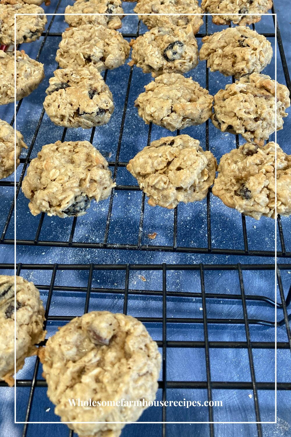 Soft & Chewy Oatmeal Raisin Cookies | FaveSouthernRecipes.com