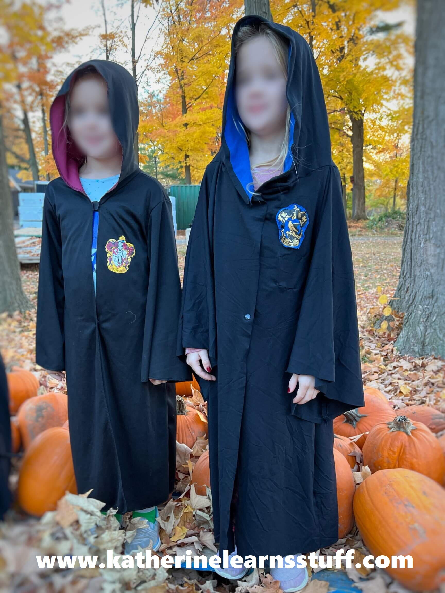 How To Make A Wizards Cloak | AllFreeKidsCrafts.com