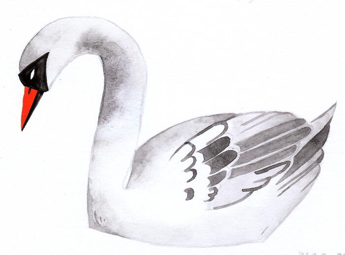 Mute Swan | FaveCrafts.com