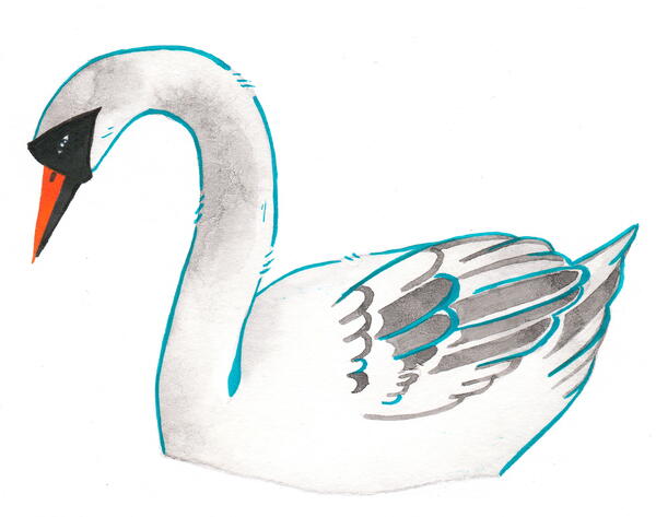 Mute Swan | FaveCrafts.com