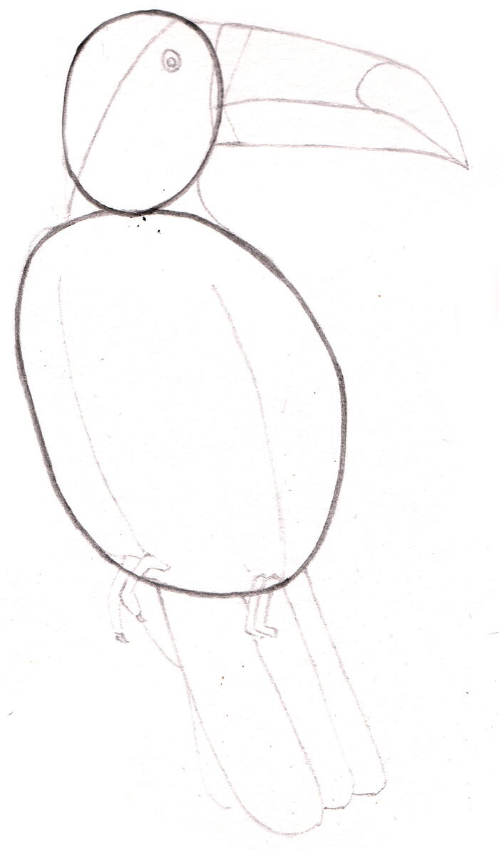 Toco Toucan | FaveCrafts.com