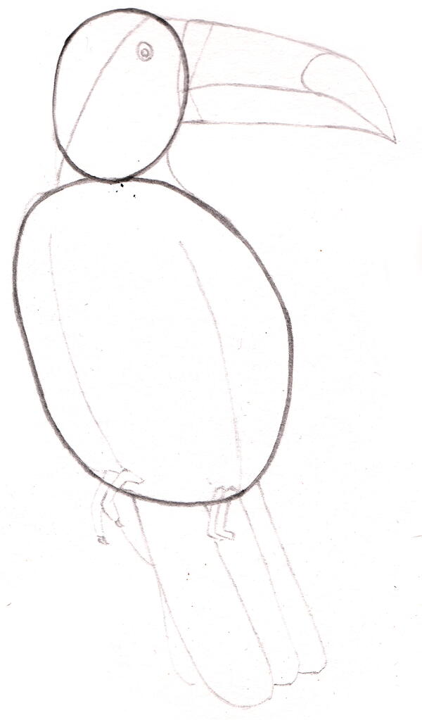 Toco Toucan | FaveCrafts.com