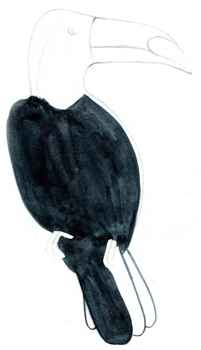 Toco Toucan | FaveCrafts.com