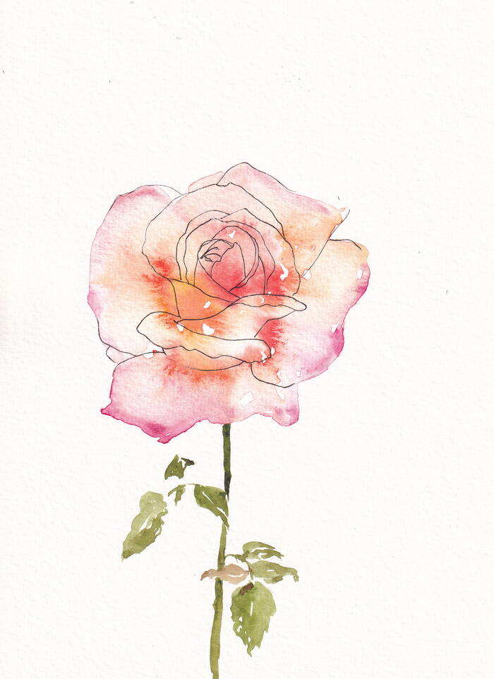 Rose | FaveCrafts.com