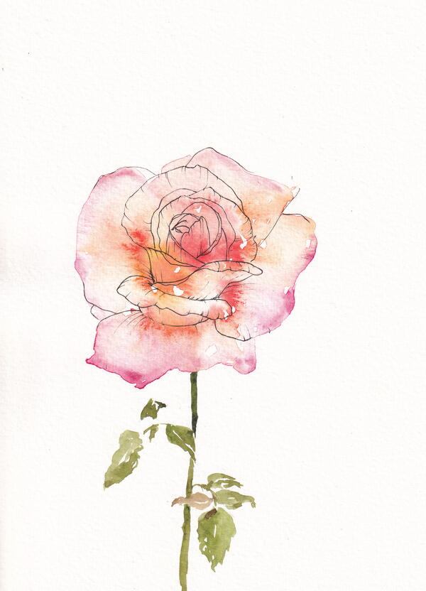 Rose | FaveCrafts.com