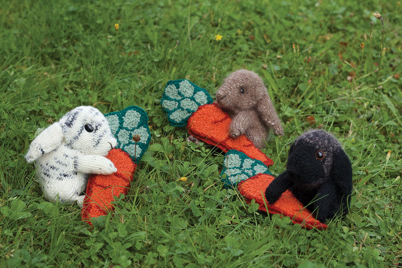 The Incredible Shrinking Food | rughookingmagazine.com