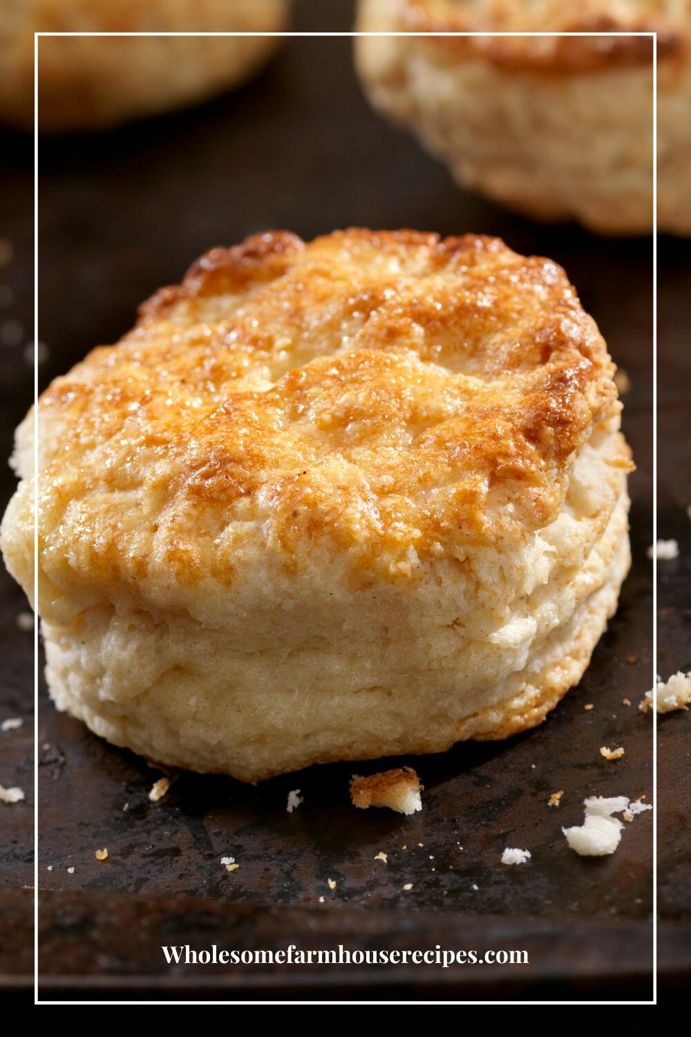 2 Ingredient Cream Biscuits Recipe | RecipeLion.com