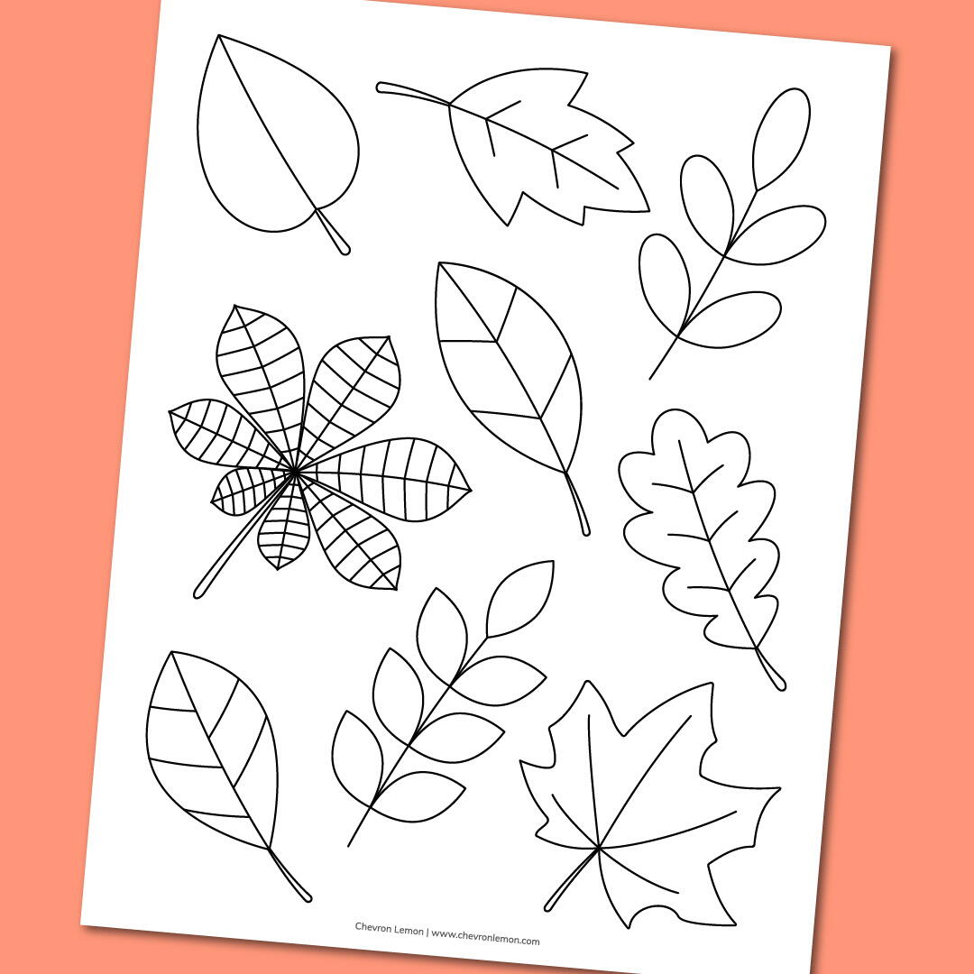 Printable Fall Leaves Coloring Page | AllFreeKidsCrafts.com