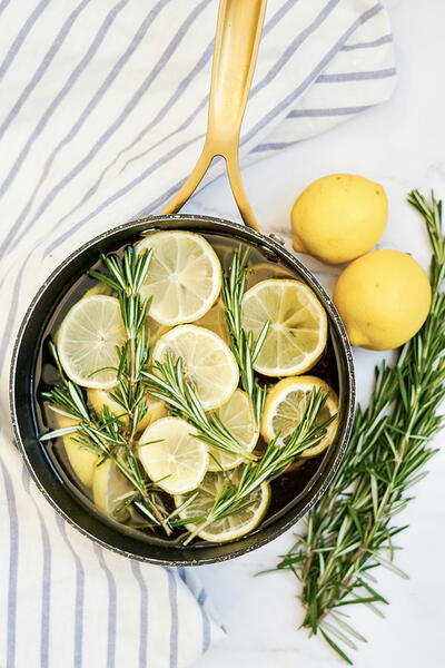 Lemon Rosemary Simmer Pot Recipe | DIYIdeaCenter.com