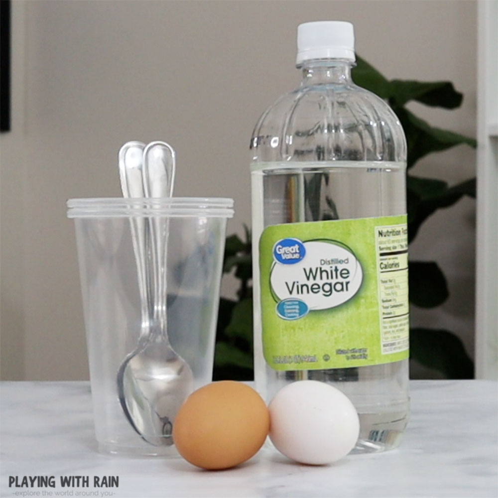 Egg-citing Bouncing Fun: Try This Science Experiment ...
