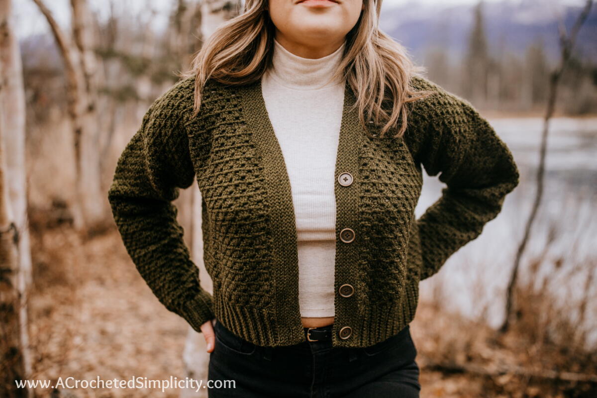 Celsea Button Up Crochet Cardigan | AllFreeCrochet.com
