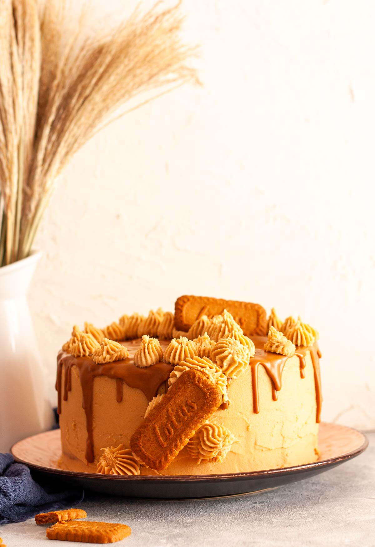 Lotus Biscoff Cake | RecipeLion.com