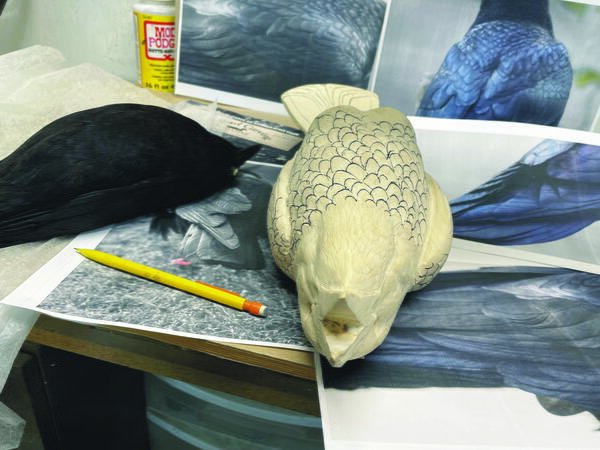 Shell Game, Part One | wildfowl-carving.com