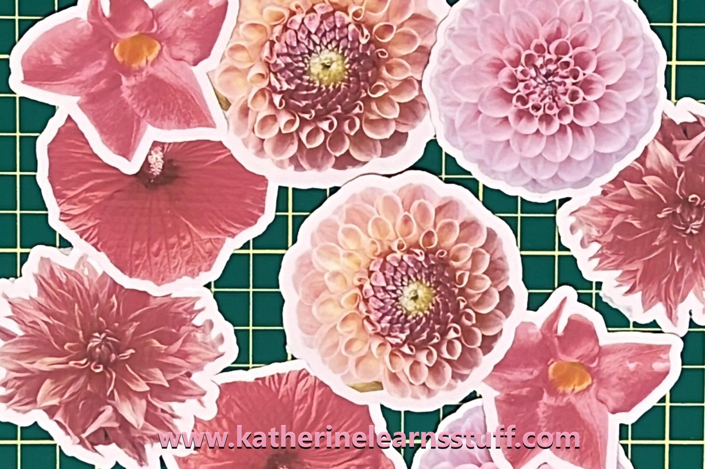 Make Flower Stickers With Your Iphone And Cricut | AllFreeKidsCrafts.com