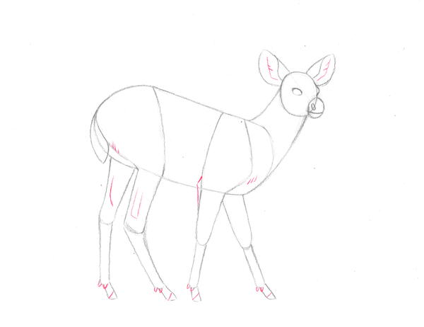 Dainty Doe | FaveCrafts.com