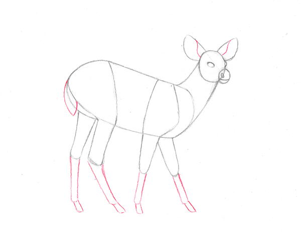Dainty Doe | FaveCrafts.com